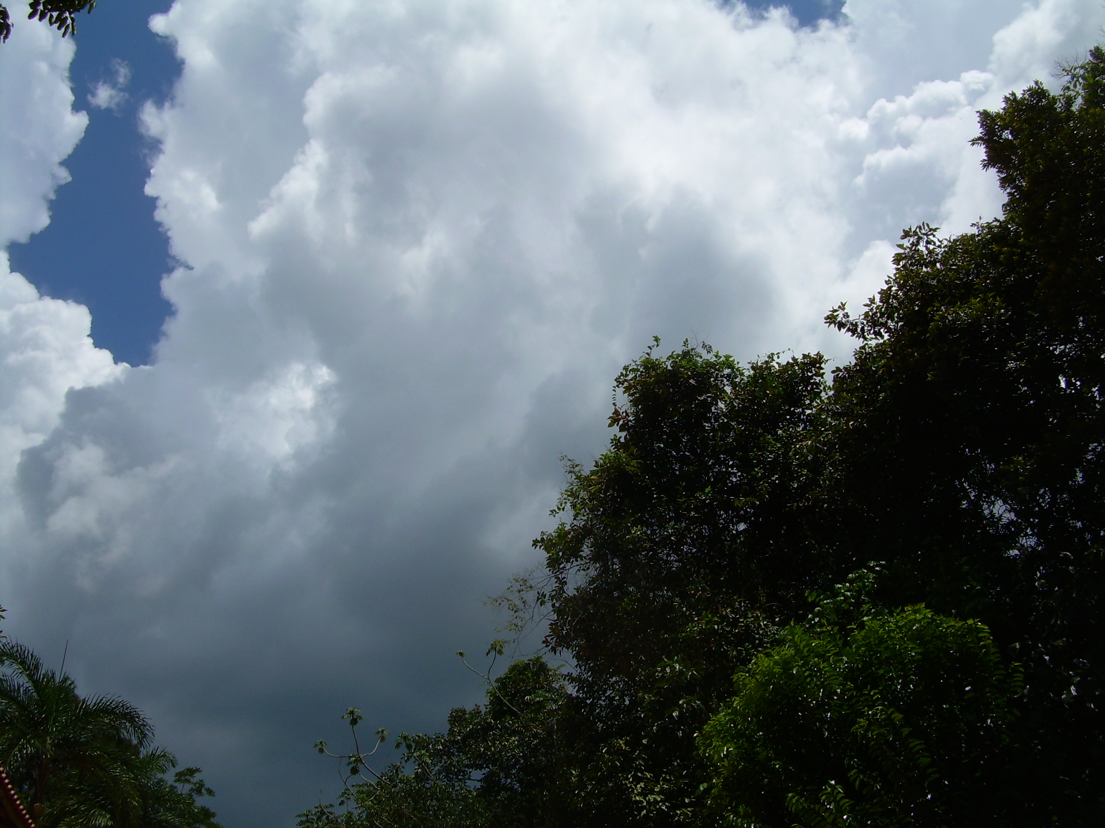 Molnen i Amazonas avslöjar luftföroreningar